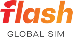 Flash Global SIM
